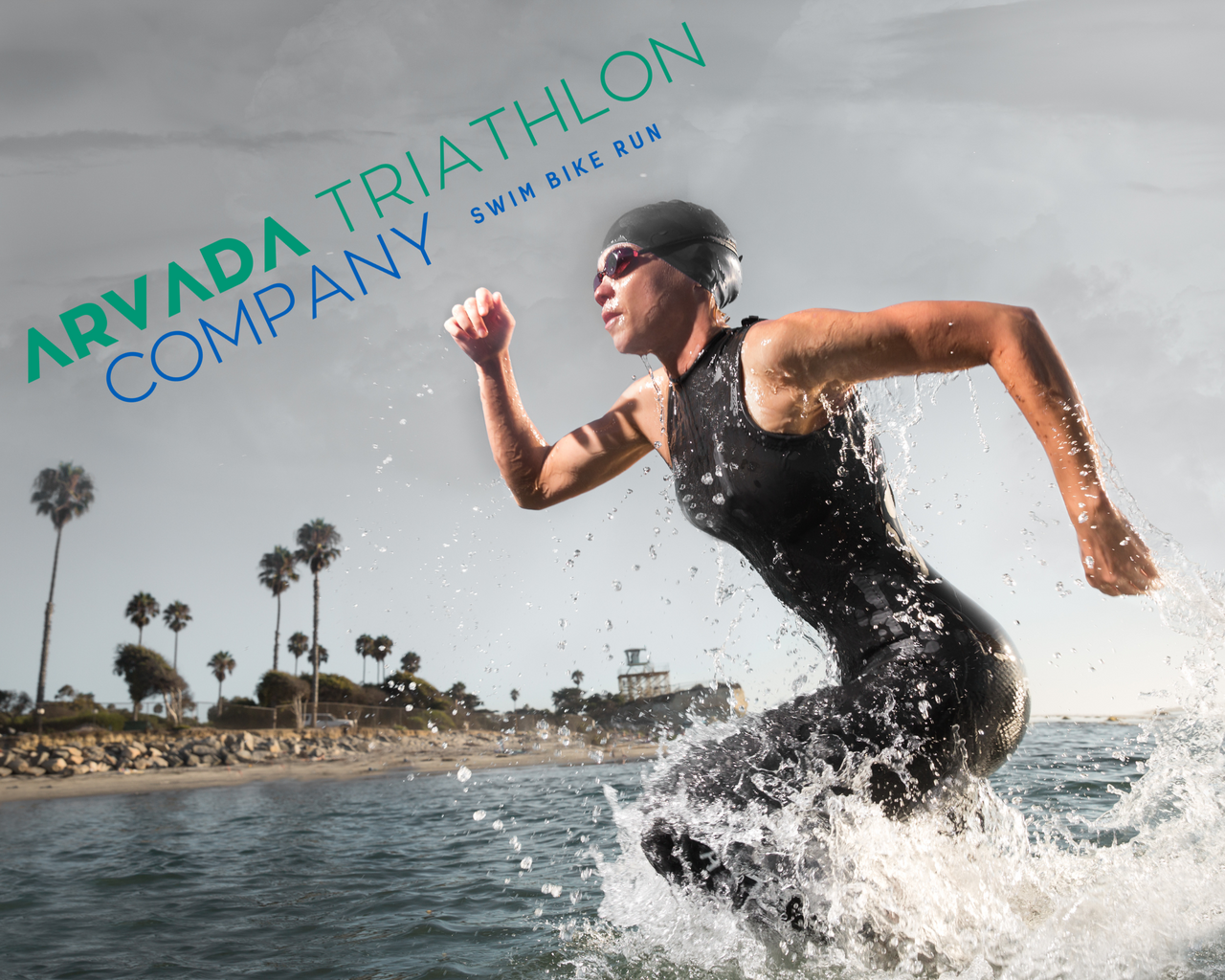 -Components – Page – Arvada Triathlon Company